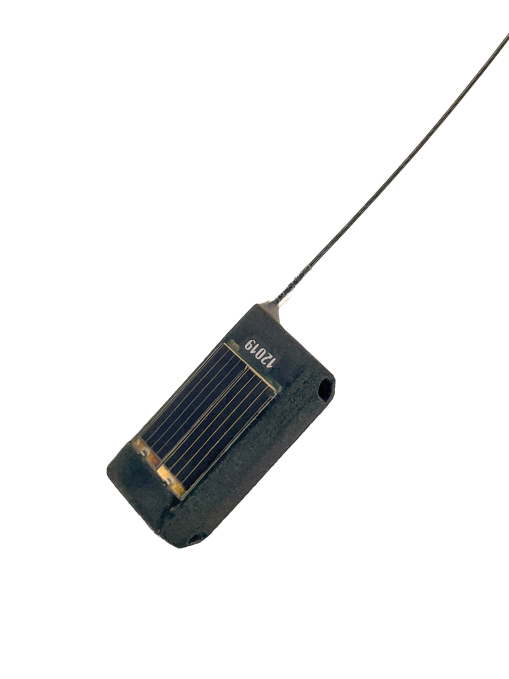 Lightweight animal tracker uses Nordic-enabled cellular IoT to monitor ...